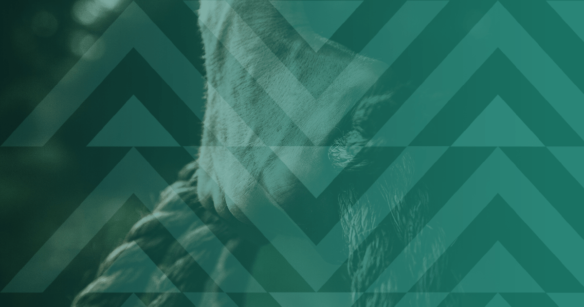 The Massive Collective - Understanding Utu